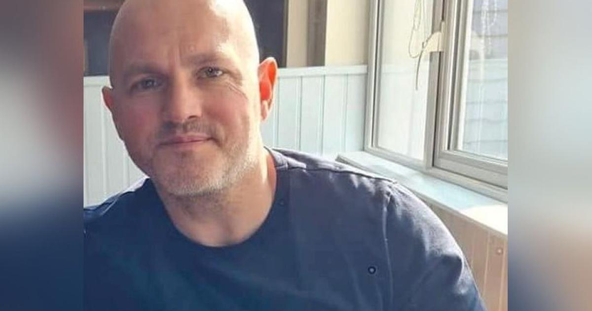 Coleraine man jailed for kicking cat to death - Alpha Newspaper Group