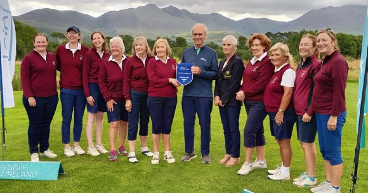 Castletroy looking for their return to glory - Alpha Newspaper Group