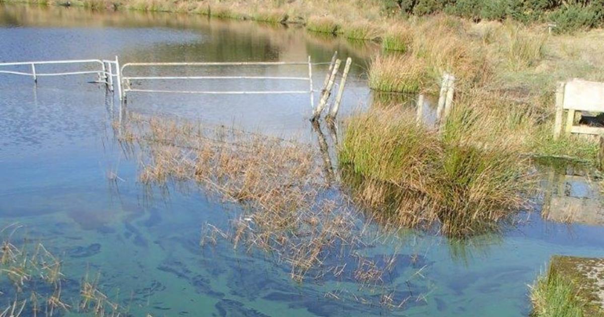 North Coast on alert as blue green algae again spotted near Barmouth ...