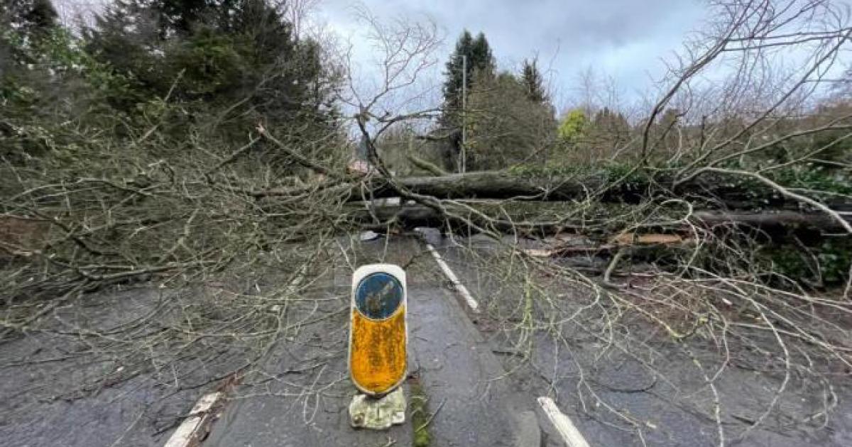 Power restoration efforts continue after Storm Darragh - Alpha ...
