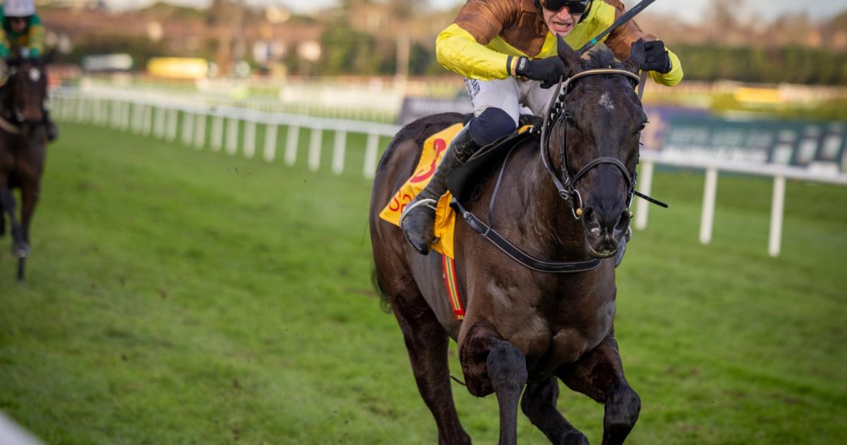 Dublin Racing Festival Grade One races attract stellar entry - Alpha ...