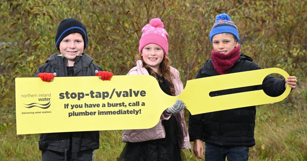 How to protect your home from leaks and bursts - Alpha Newspaper Group