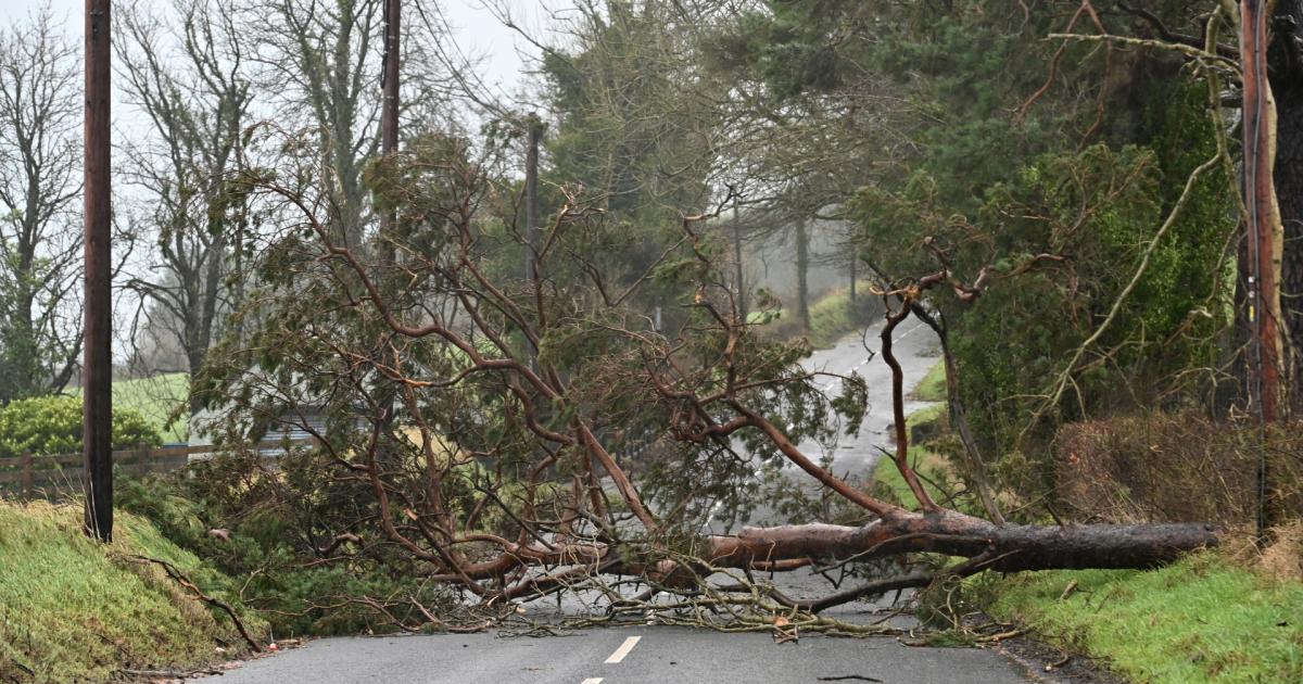 NIE Networks restoration efforts continue across Northern Ireland ...