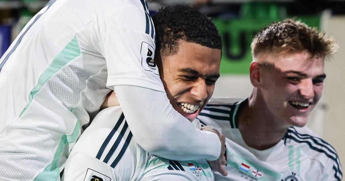 Northern Ireland qualify for the 2026 World Cup - Alpha Newspaper Group