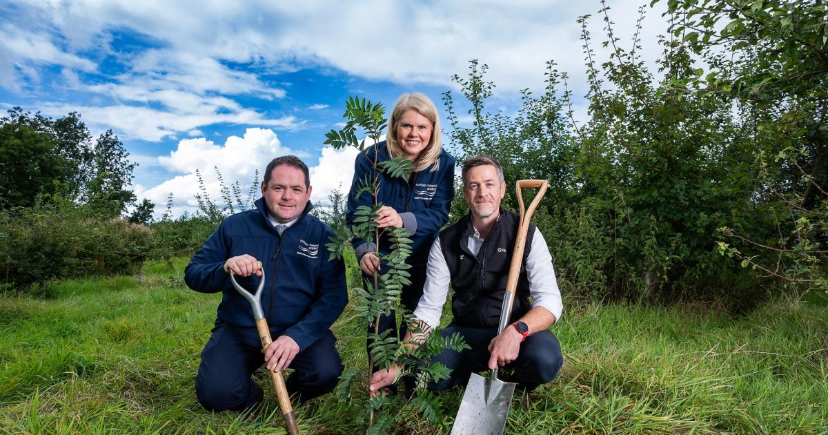 Major tree planting initiative thriving - Alpha Newspaper Group