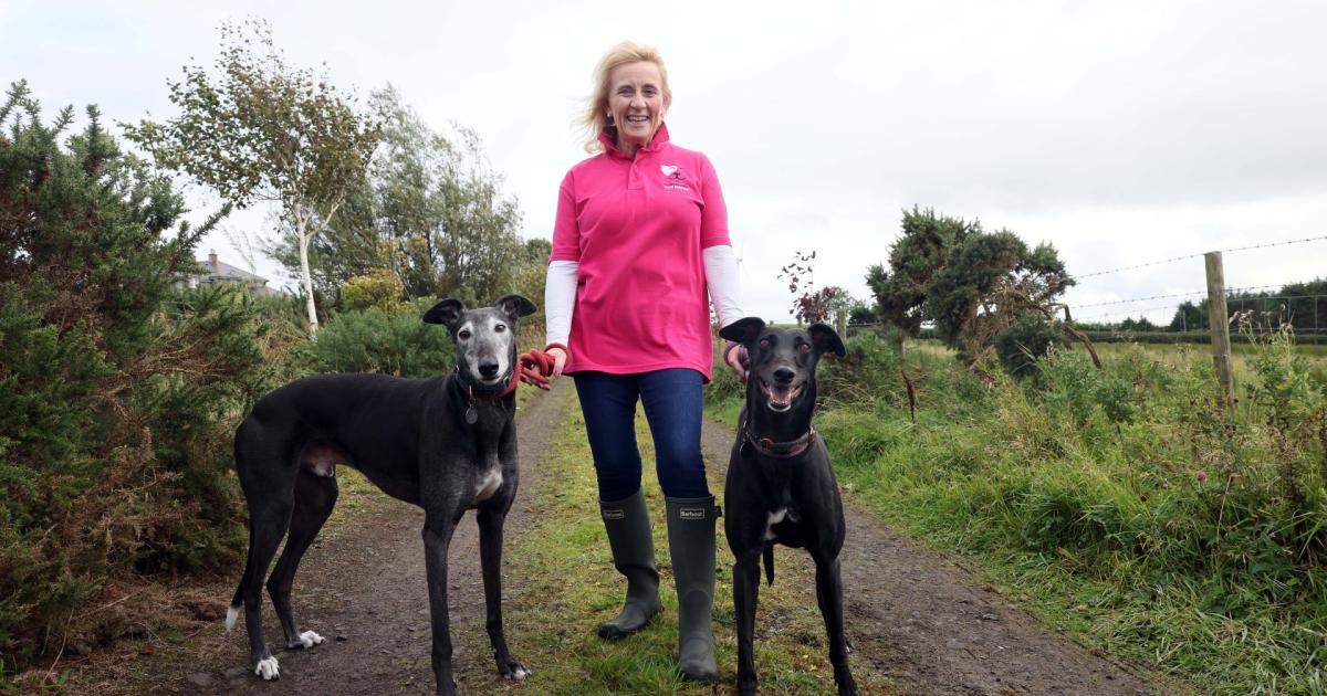 Worldwide input for Causeway Coast Dog Rescue conference - Alpha ...