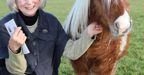 Rescue pony inspires animal loving author - Alpha Newspaper Group