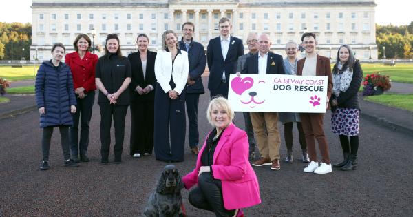 Causeway Coast Dog Rescue to advance Ruby’s Law in Northern Ireland ...