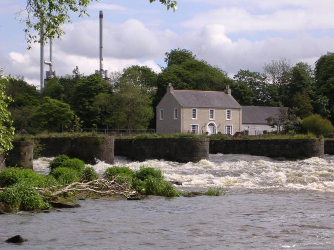 Irish Society chief delivers warning over salmon crisis - Alpha ...
