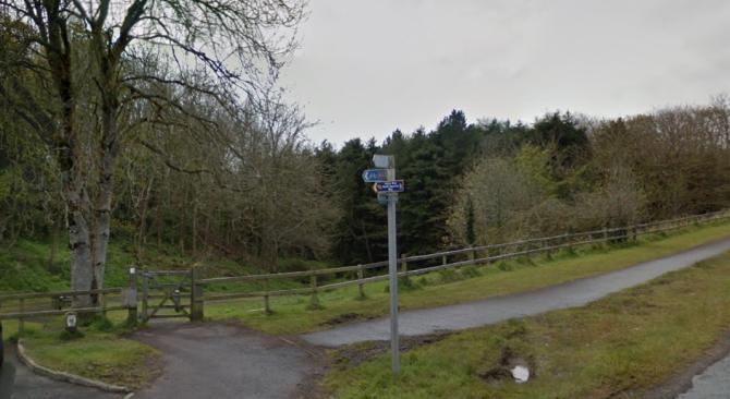 Green light for Downhill walking trail - Alpha Newspaper Group