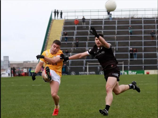 Saffrons looking over their shoulder - Alpha Newspaper Group