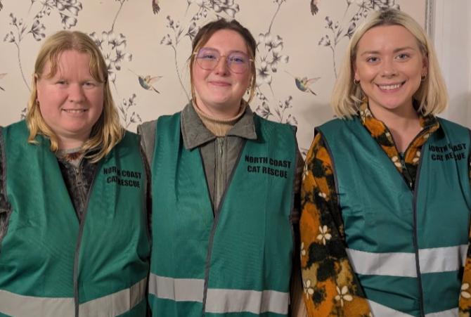 Rescue charity appeals for help to safeguard stray cats - Alpha ...