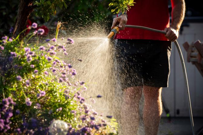 Fullx cinima she has appealing assets - very nice natural