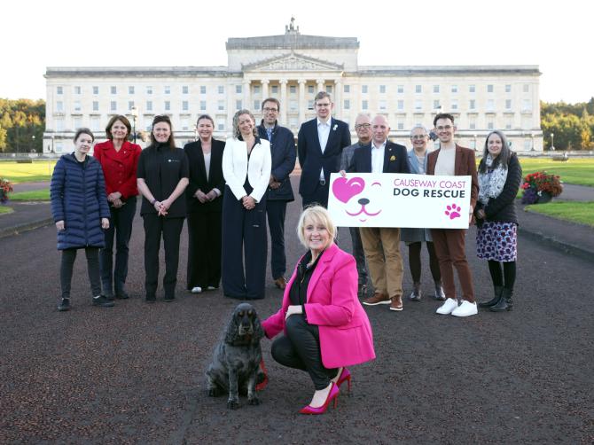 Causeway Coast Dog Rescue to advance Ruby’s Law in Northern Ireland ...